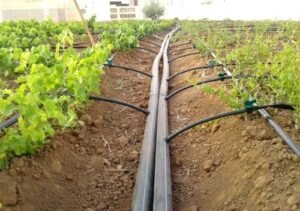 Irrigation Methods That Will Help The Indian Farmers — The Second Angle