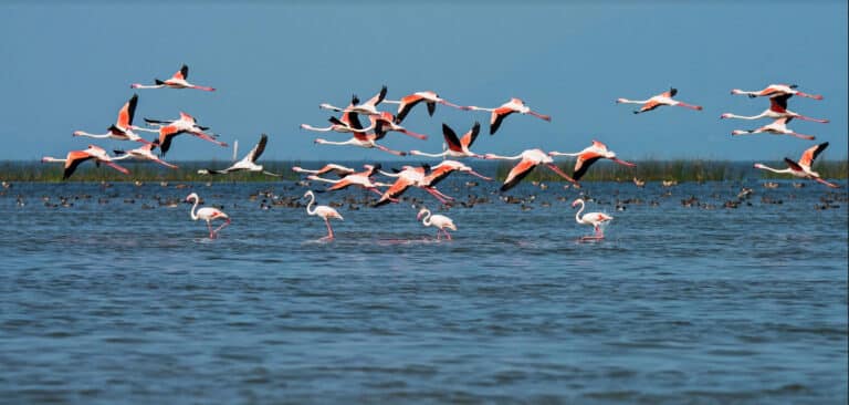 10 Most Beautiful Lakes To Visit In India — The Second Angle