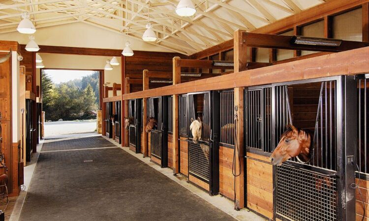 10 Most Luxurious Horse Stables Around The Globe — The Second Angle