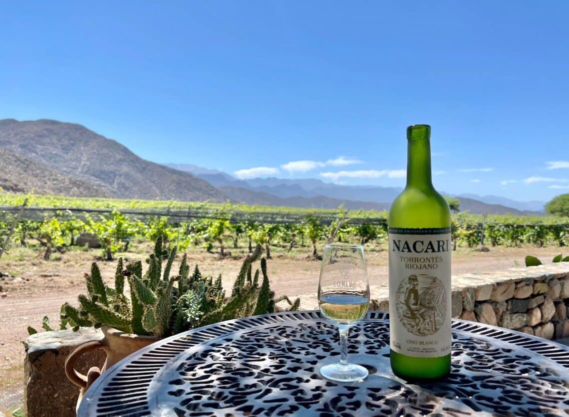 8 Best Beverages From Argentina — The Second Angle