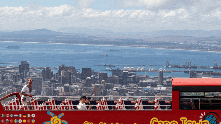 A Ship Carrying 19,000 Cattle Caused A Big Stink In The South African ...