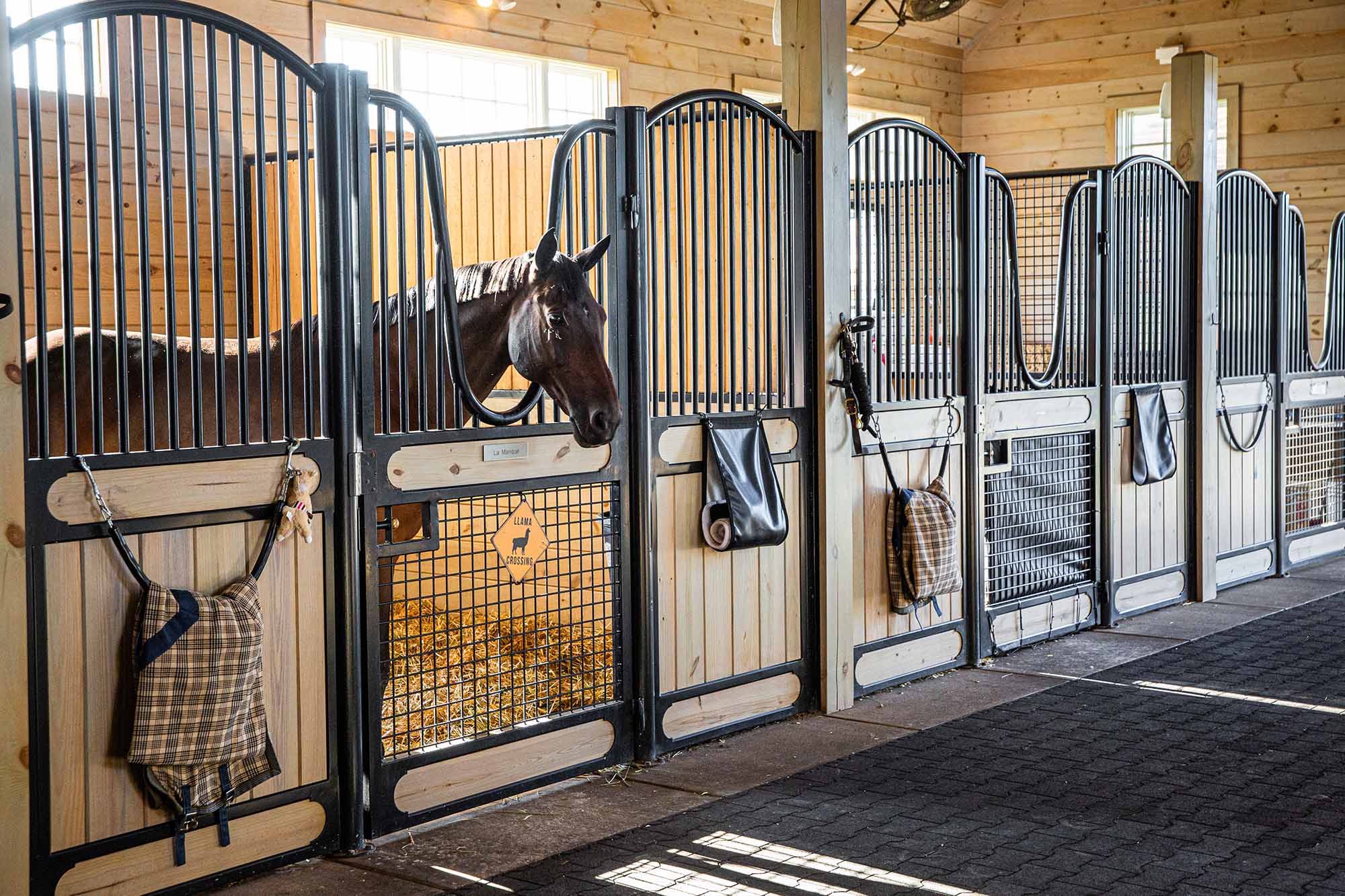 10 Most Luxurious Horse Stables Around The Globe — The Second Angle